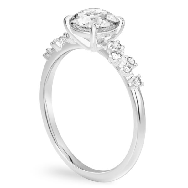 Scattered Diamond Ring - Magic Engagement Ring - Do Amore