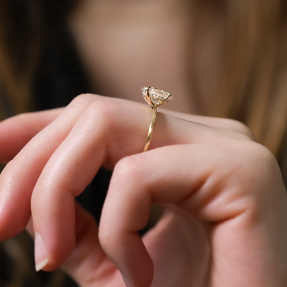 Hidden Halo Engagement Ring - Seamless Hidden Halo - Do Amore